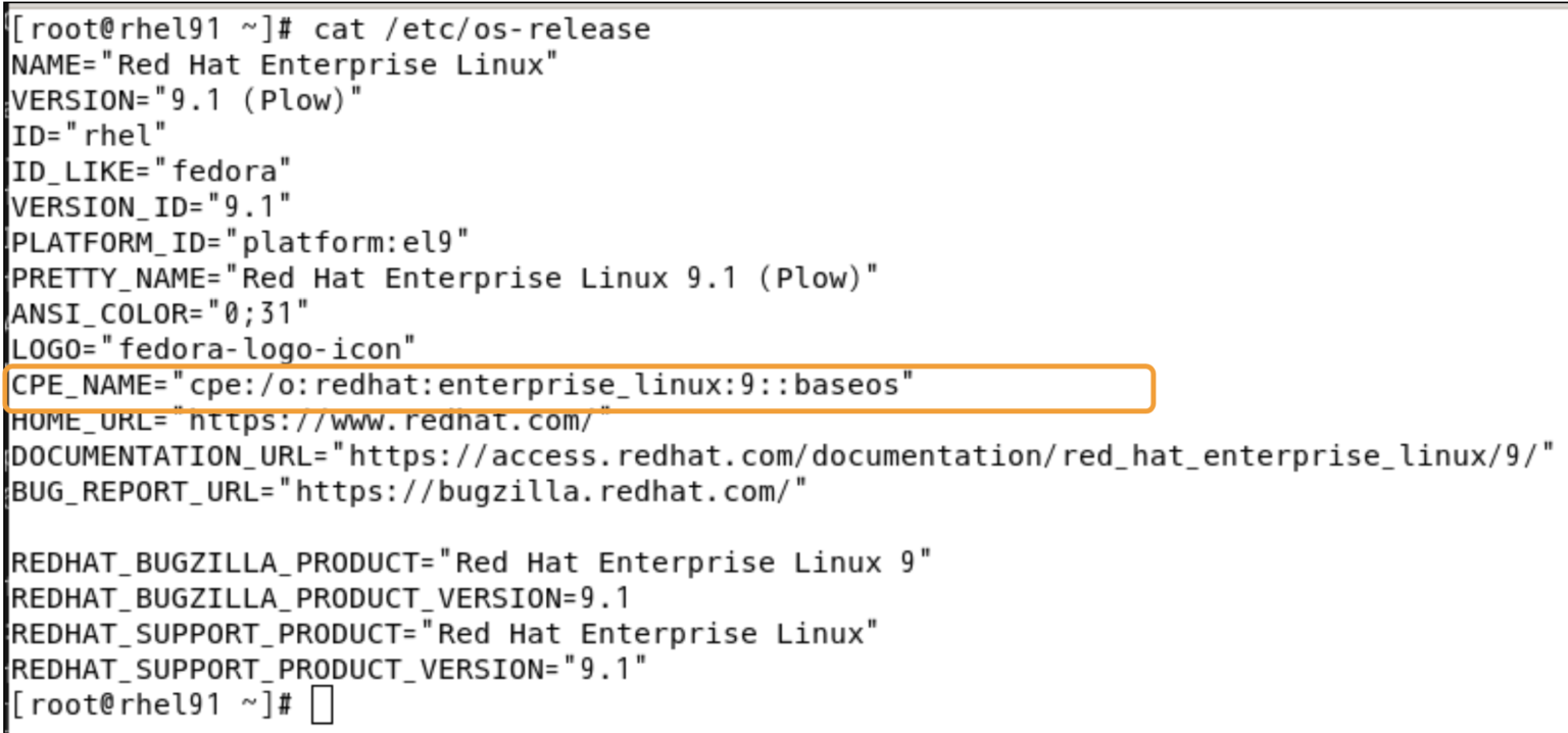 CPEとは？ハードウェア／ソフトウェアなどを識別する情報を解説 | 熱血！ヒートウェー部